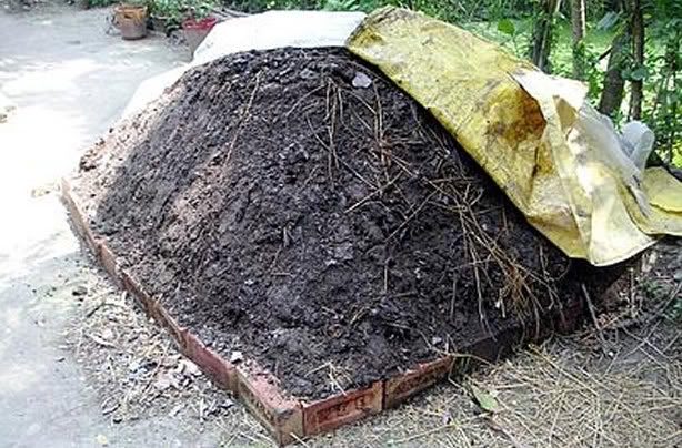 Composting Doesn’t Stink As Much As You Might Think! Part One Of A ...